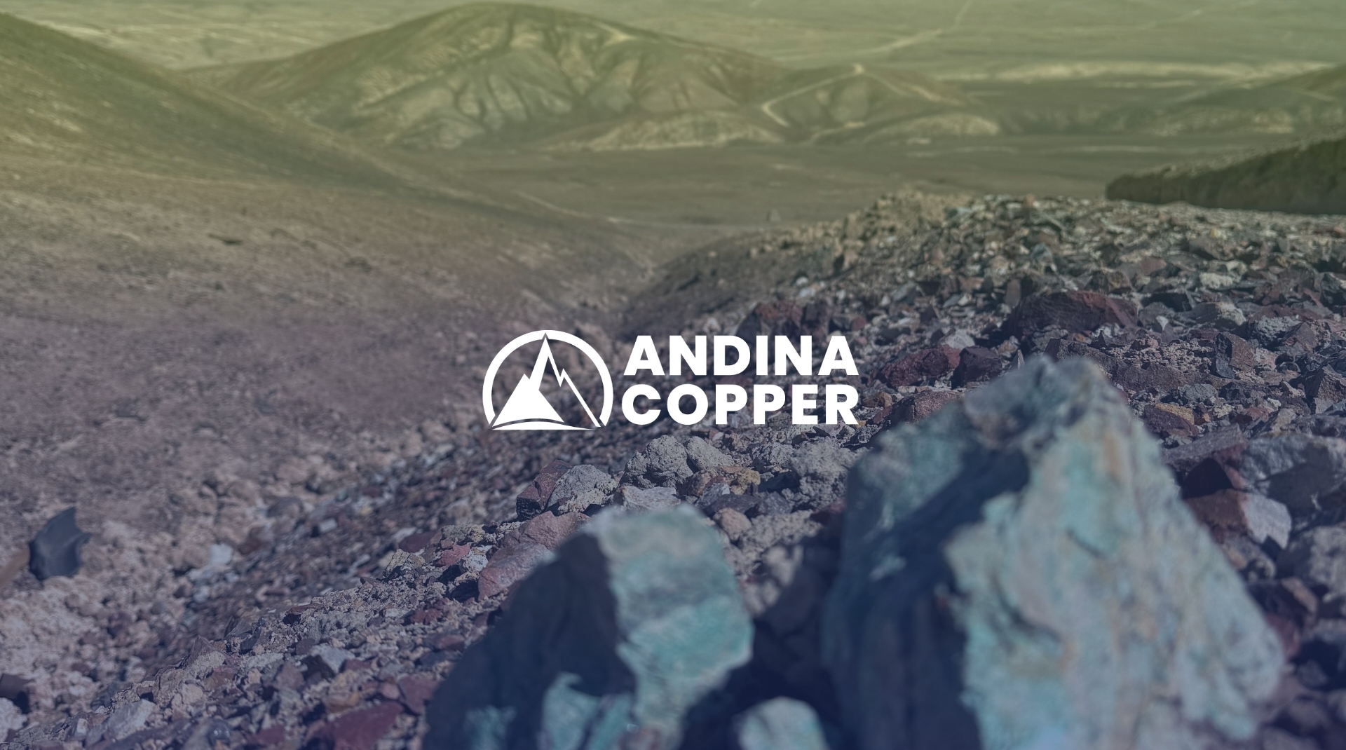 Stock Quote - Andina Copper Corp